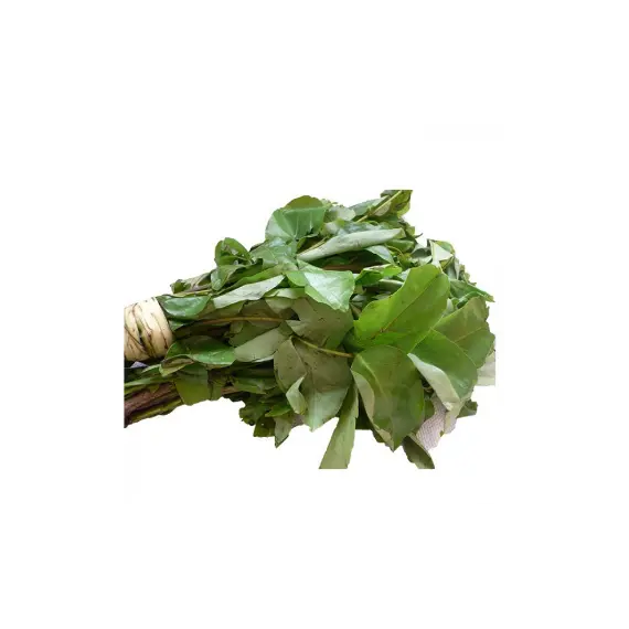 Fresh Oha Leaves x 1 bunch